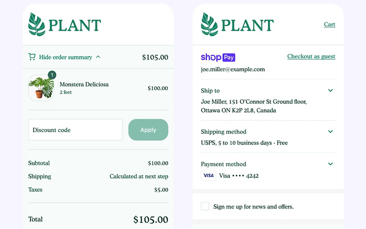 Shopify Checkout Branding: Full Checkout Customization Guide | Blue Badger