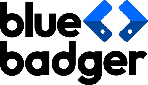 Shopify Checkout Branding: Full Checkout Customization Guide | Blue Badger